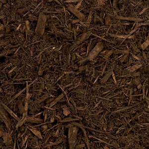 Mulch Why? What? Myths & Tips – Sophies Patch – Sophie Thomson