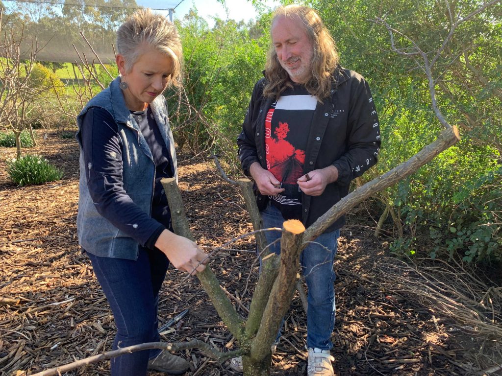 Summer Fruit Tree Pruning Workshops 2021 – Sophies Patch – Sophie Thomson