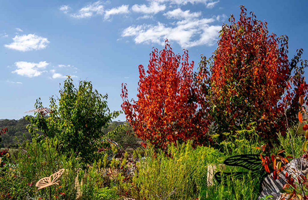 Autumn Tone – Sophies Patch – Sophie Thomson